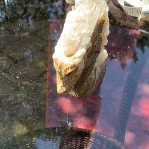 Shellys Boutique | Other | Quartz Crystal Cluster Hand Carved Dragon ...